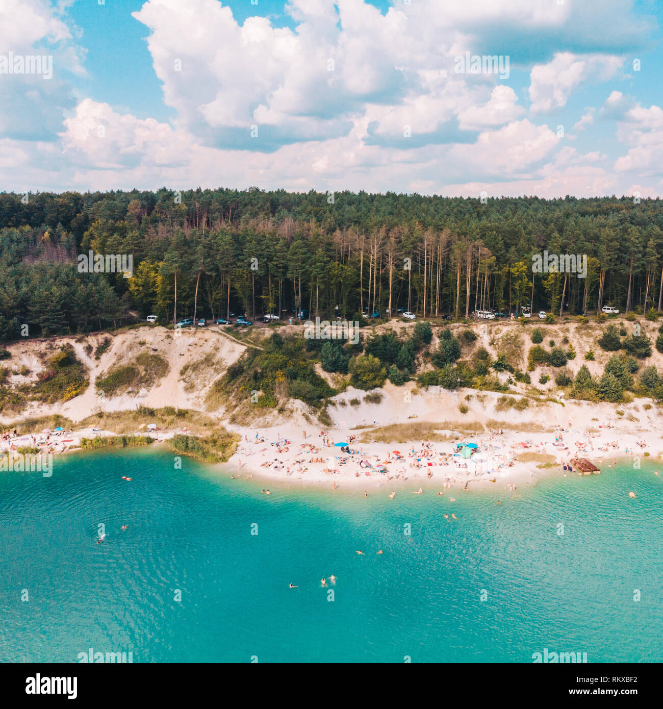 Rivershore forest hi-res stock photography and images - Alamy