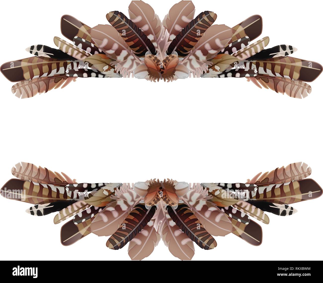 vector bird feather wreath border garland art Stock Vector Image & Art ...