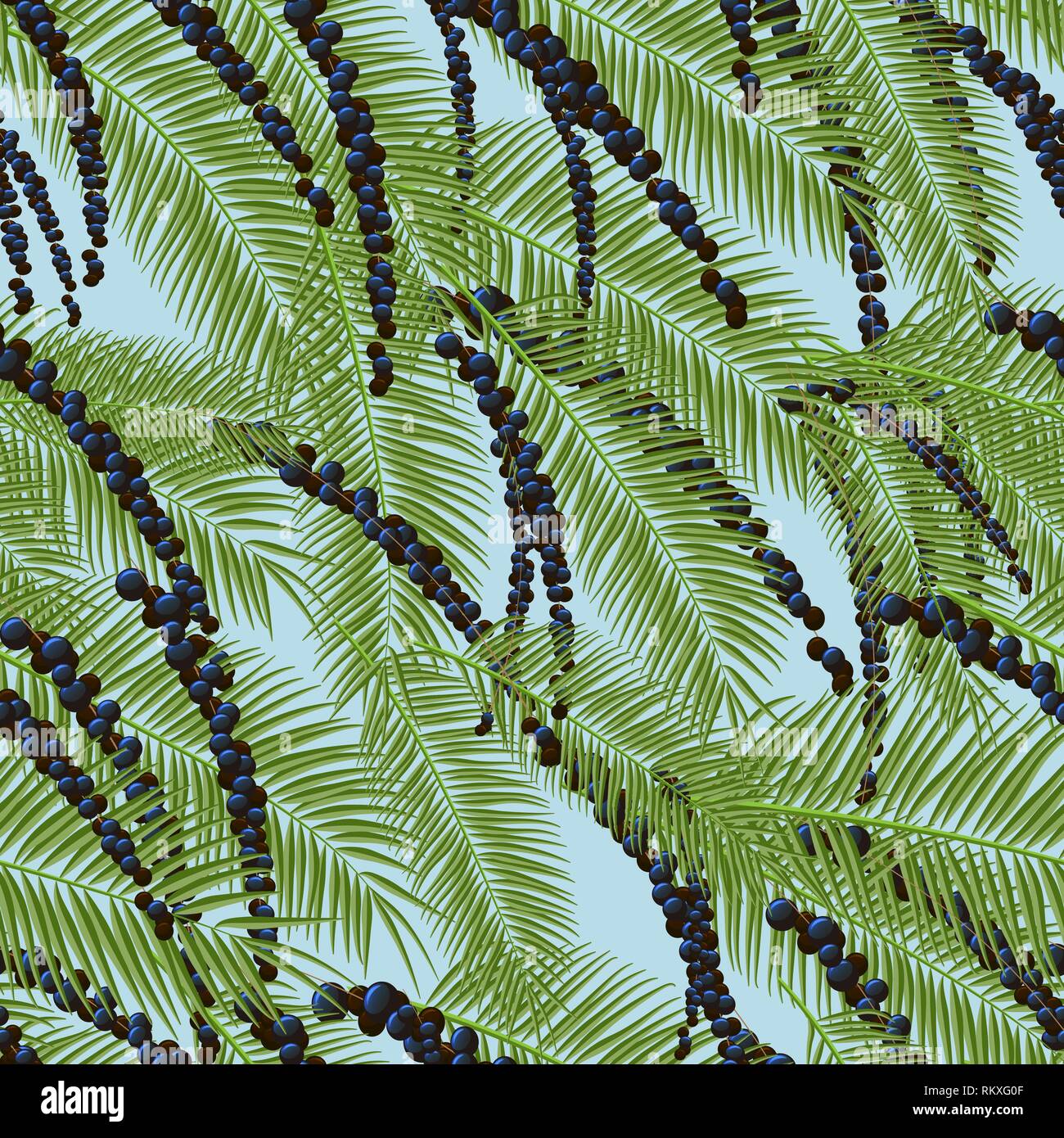 Seamless pattern with acai berries and acai palm. Superfood. 10 eps ...