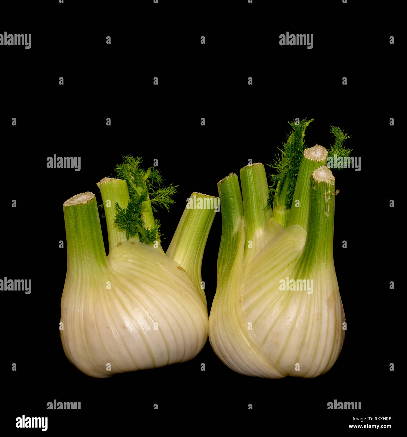 Fennel bulbs cooking hi-res stock photography and images - Alamy