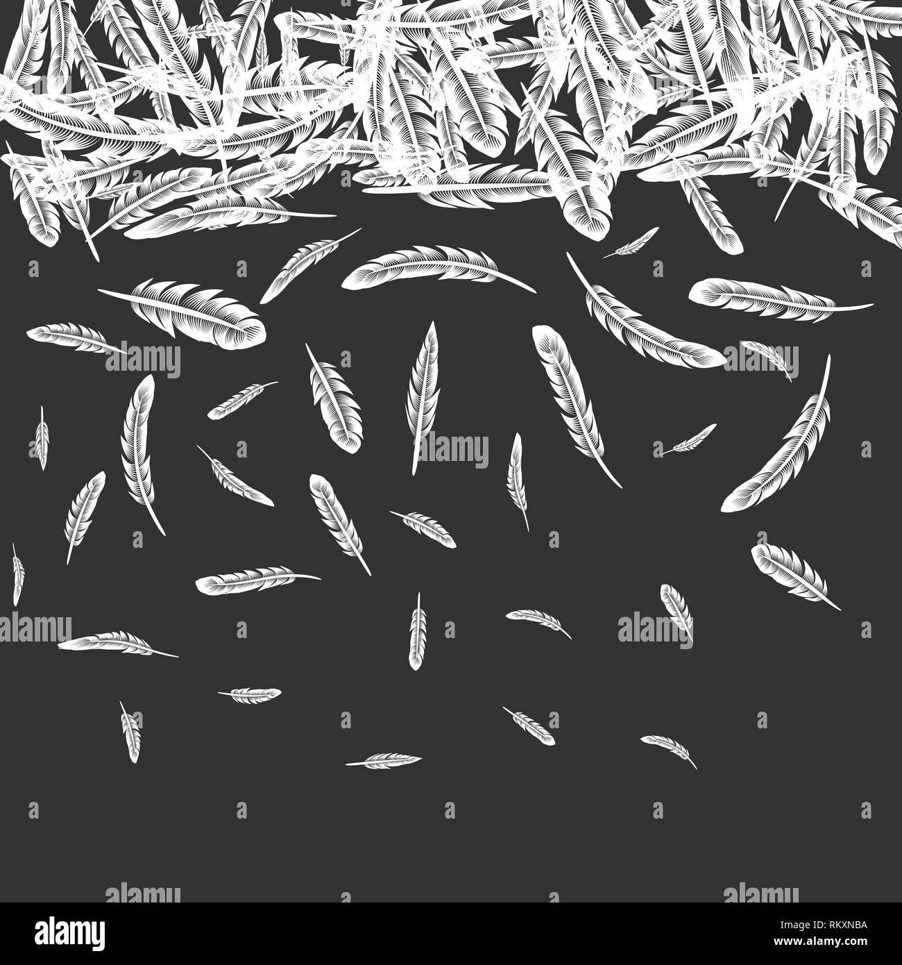 Softness Feathers Pattern. Plumage Flying Stock Vector Image & Art - Alamy