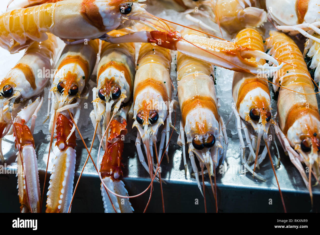 crayfish Shrimps and lobster at a spanish fish market Stock Photo - Alamy