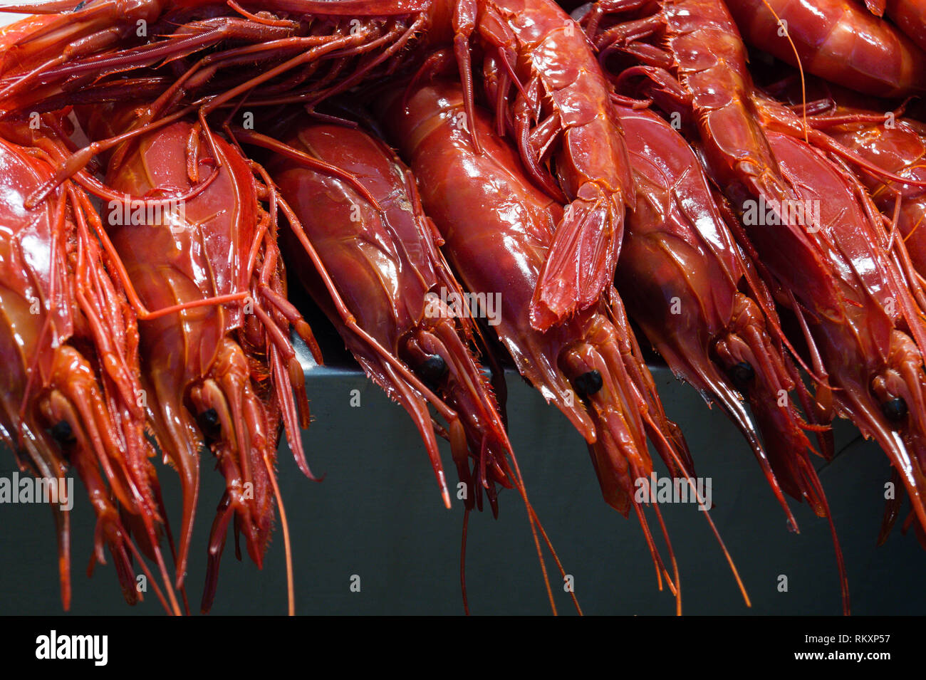 crayfish Shrimps and lobster at a spanish fish market Stock Photo - Alamy