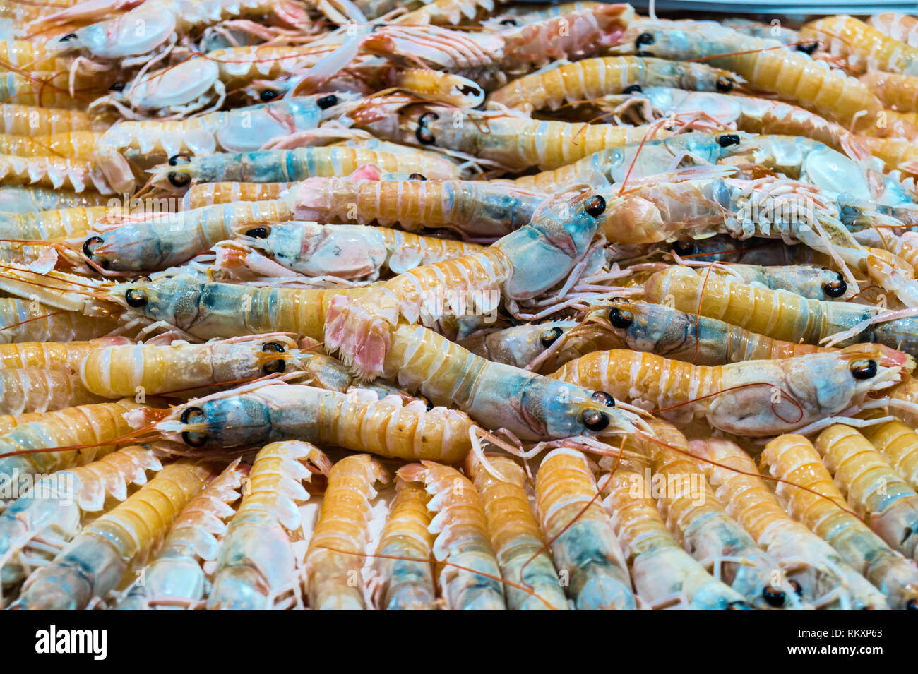 crayfish Shrimps and lobster at a spanish fish market Stock Photo - Alamy