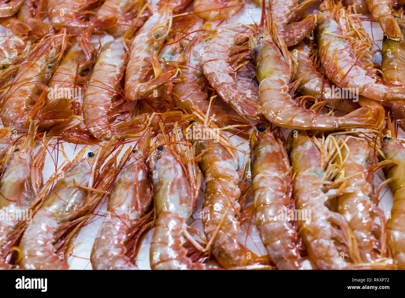 crayfish Shrimps and lobster at a spanish fish market Stock Photo - Alamy