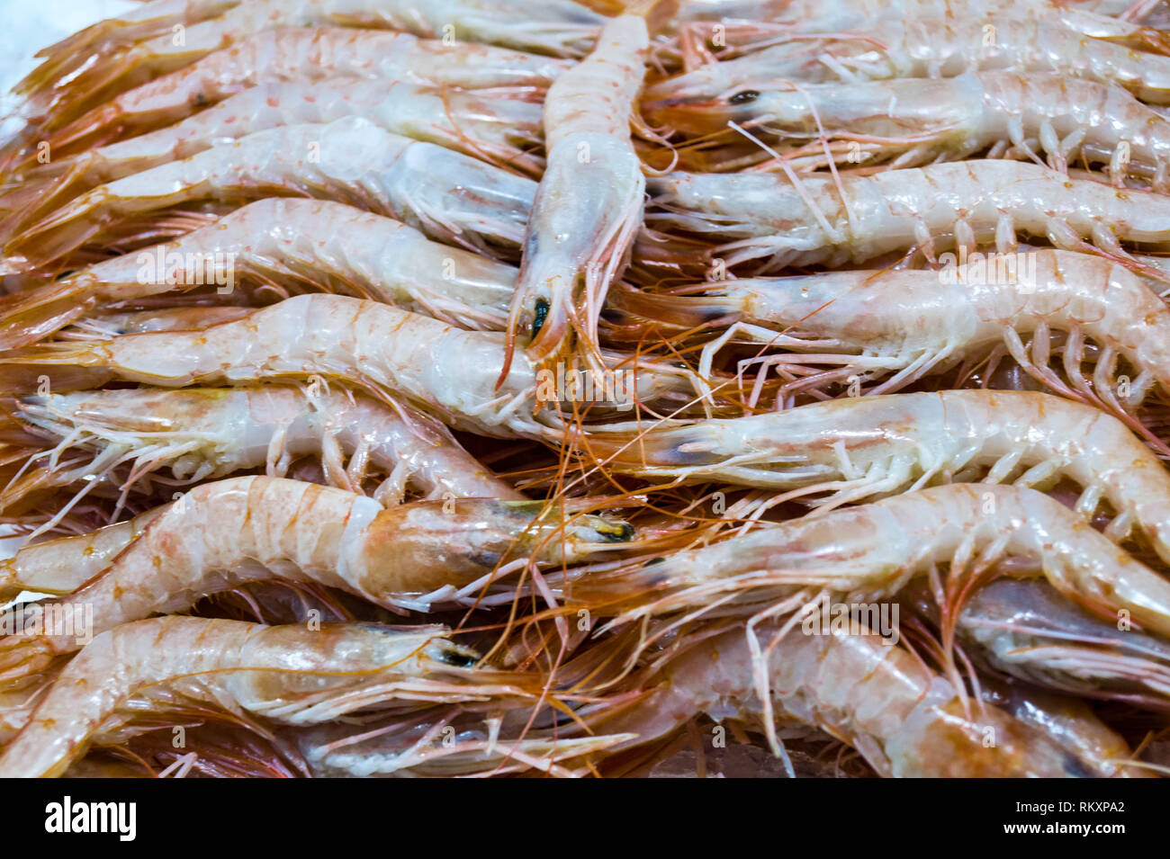 crayfish Shrimps and lobster at a spanish fish market Stock Photo - Alamy