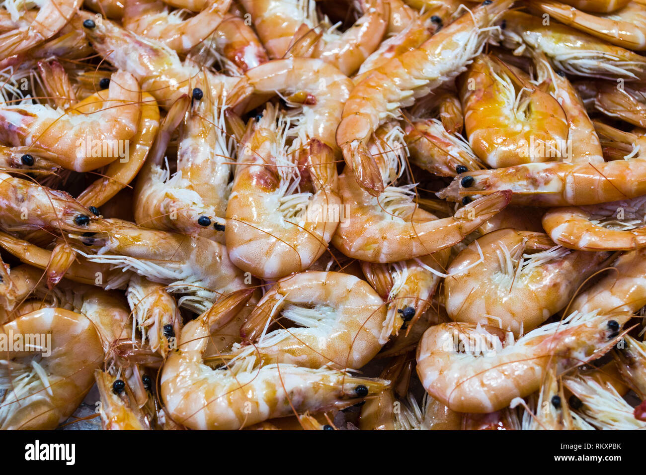 crayfish Shrimps and lobster at a spanish fish market Stock Photo - Alamy