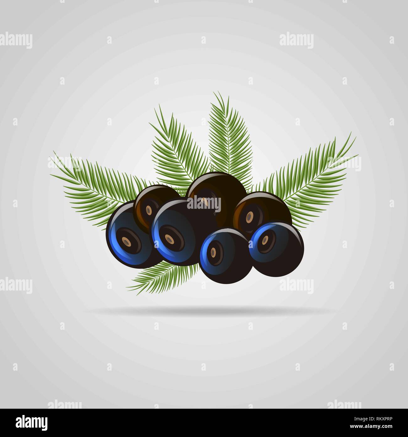 Black acai berry flat icon with palm leaves. vector illustration of eco ...