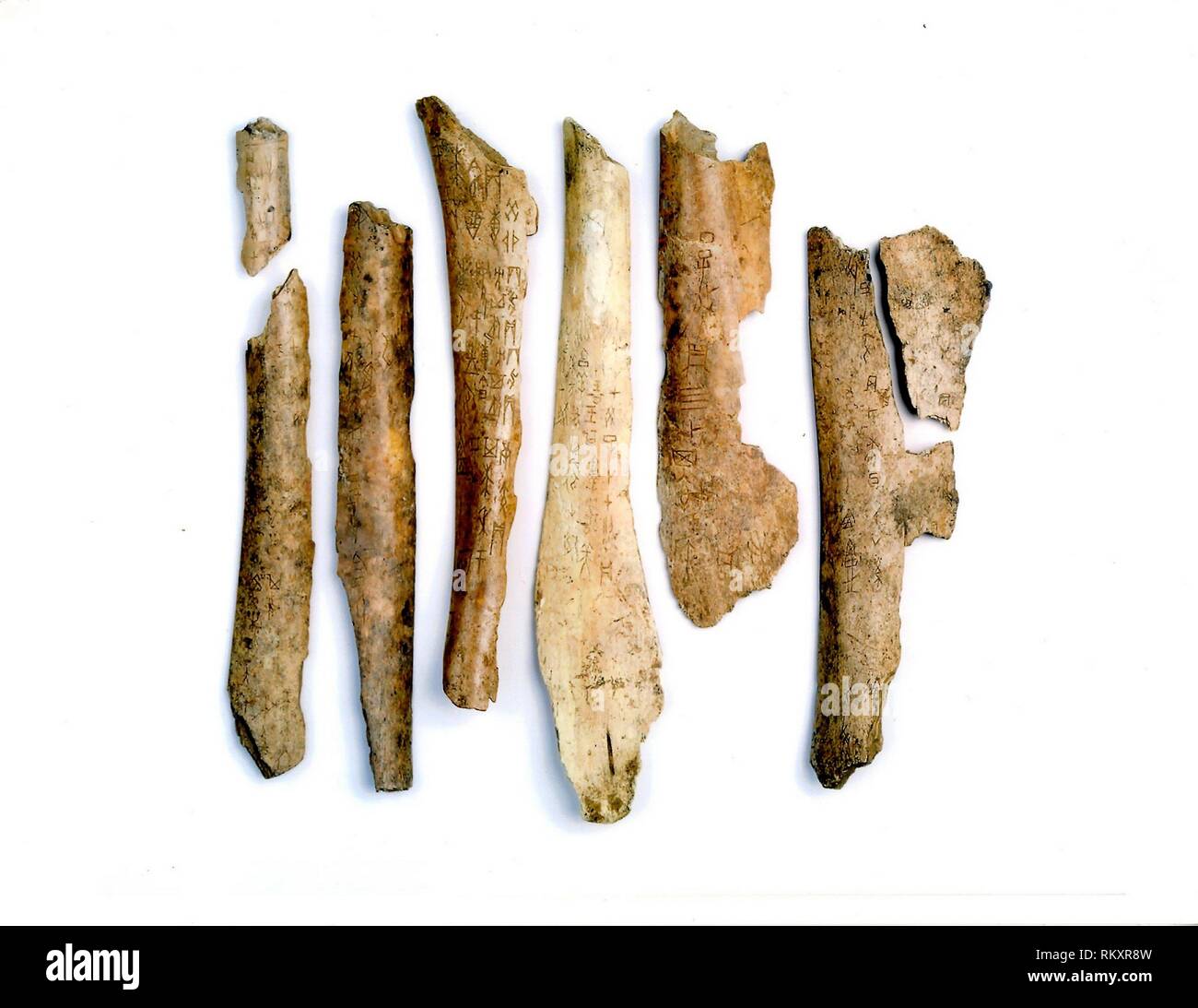 Oracle bones Cut Out Stock Images & Pictures - Alamy