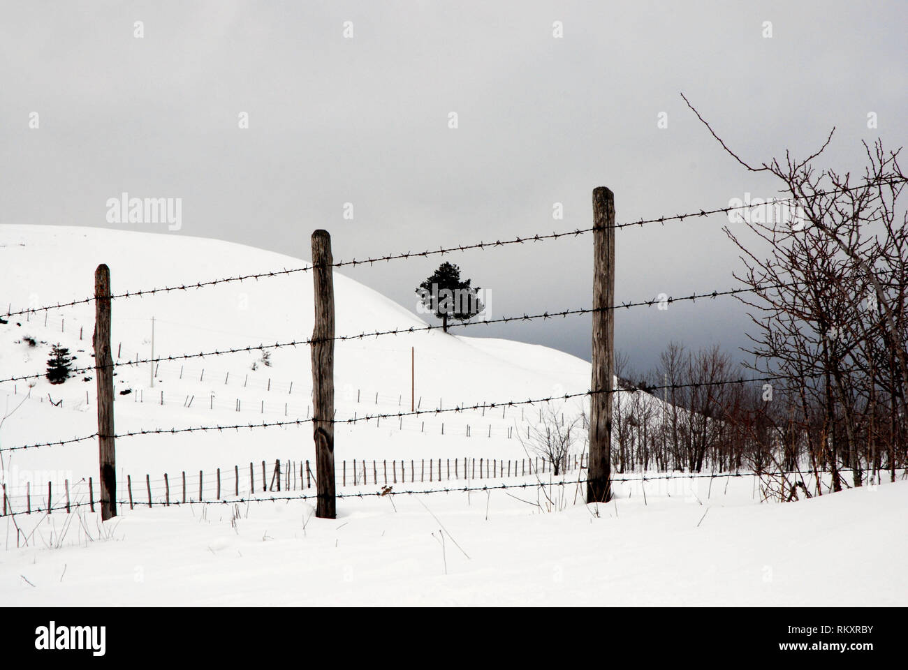 winter landscape on the mountain of sila calabria italy Stock Photo - Alamy