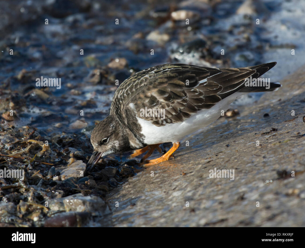 Turning stone edge hi-res stock photography and images - Alamy