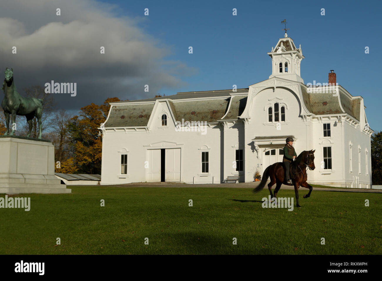 Morgan horse vermont hi-res stock photography and images - Alamy