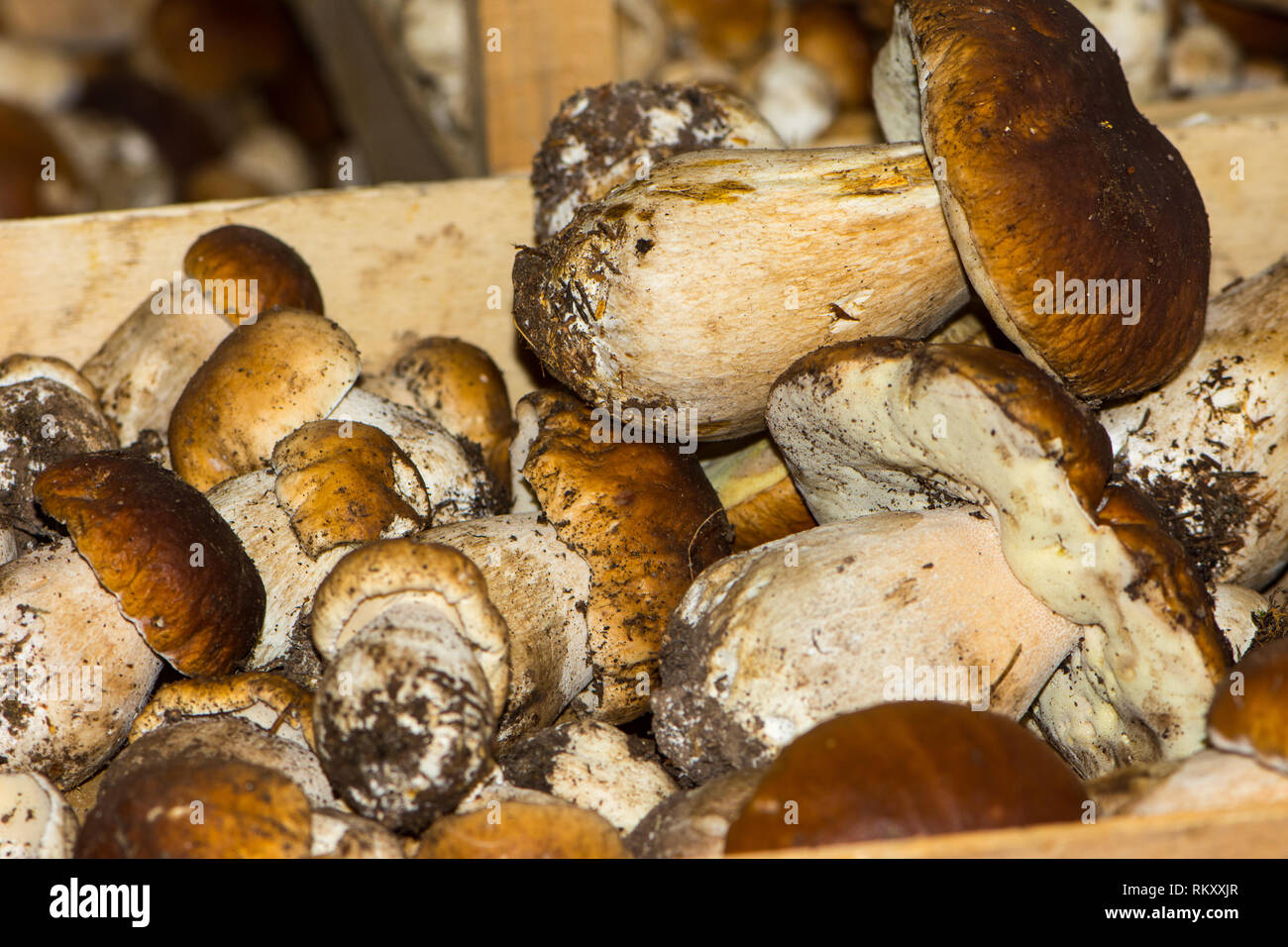 Dirty penny hi-res stock photography and images - Alamy