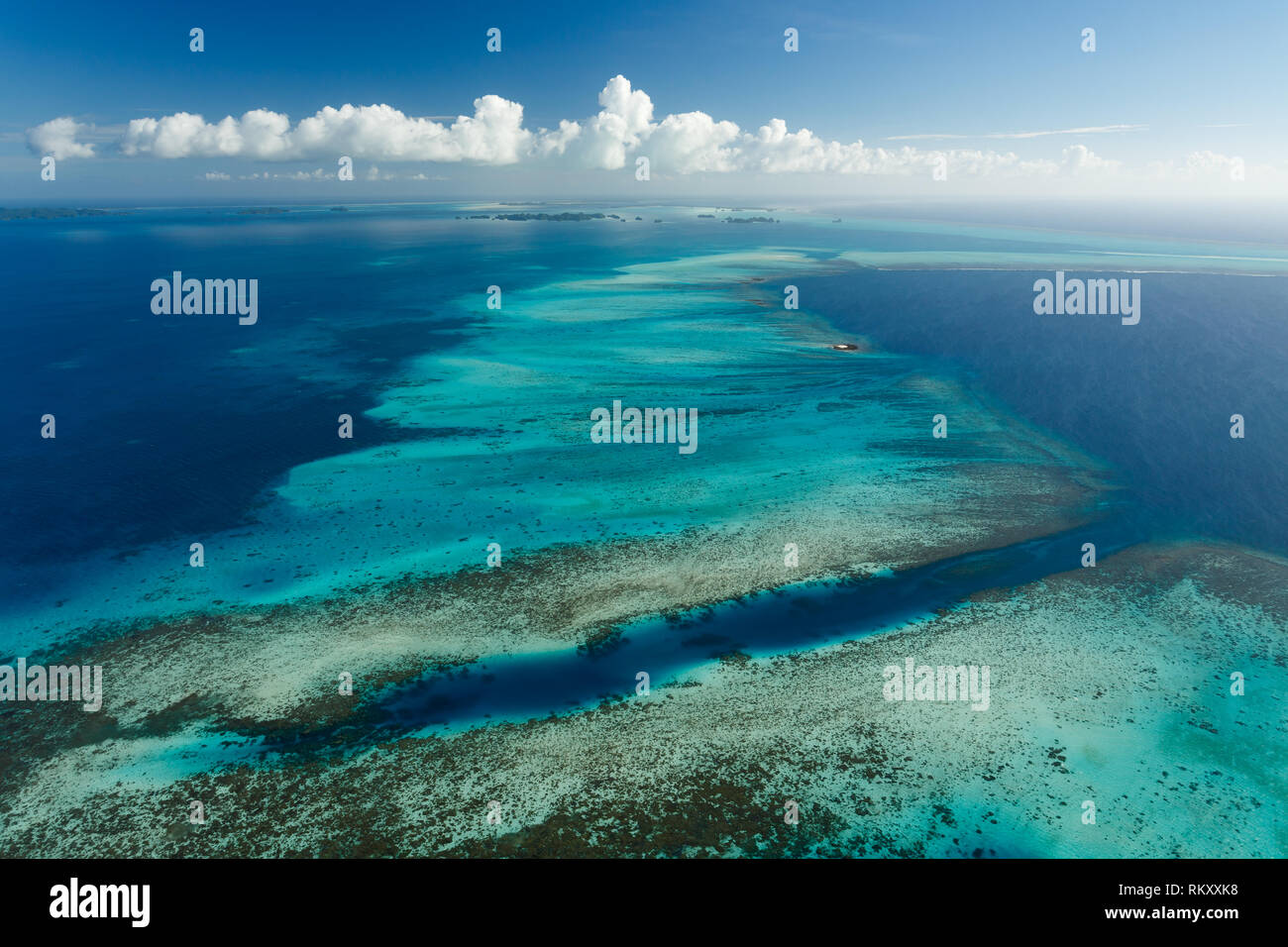 Coral reef structure hi-res stock photography and images - Alamy