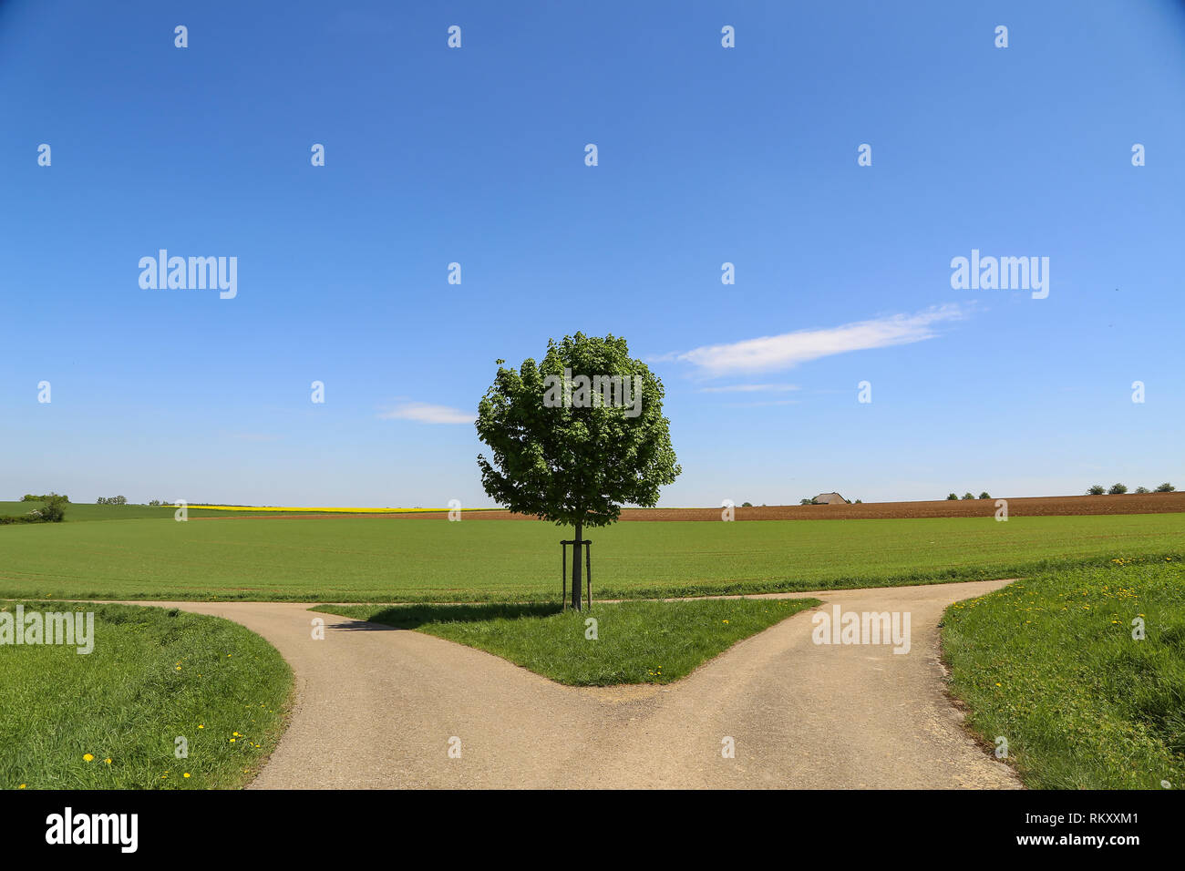 Person at fork in road hi-res stock photography and images - Alamy