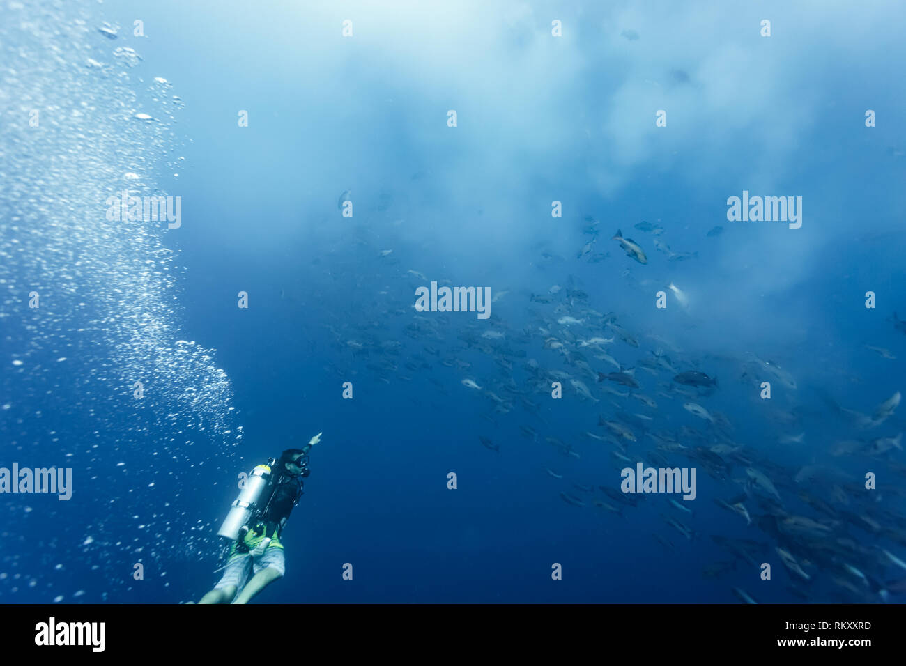 Reef Points High Resolution Stock Photography and Images - Alamy