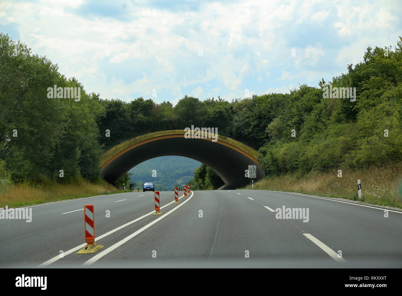 Highway / Bridge over the highway for animals Stock Photo - Alamy