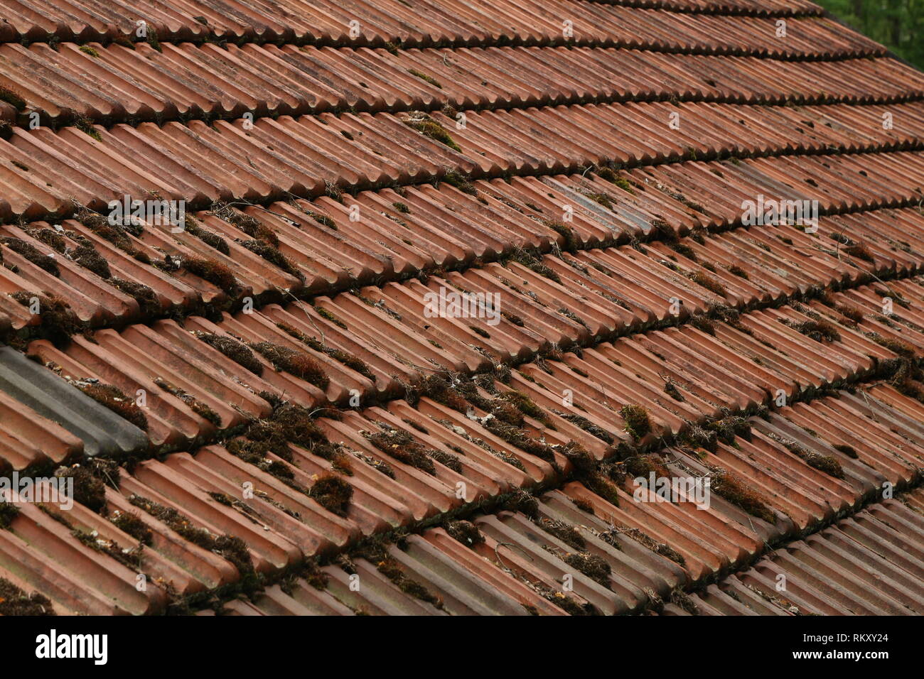 Red tile roof. Roof tiles on the roof Stock Photo - Alamy