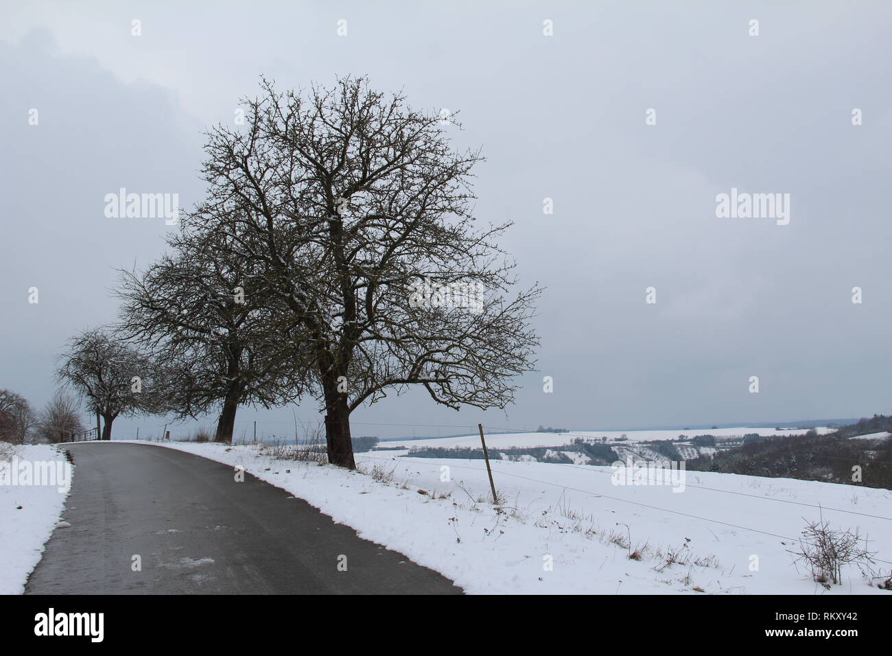 Winter. Snow covered fields frosty winter morning Stock Photo - Alamy