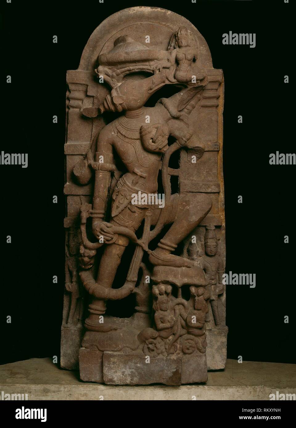 Boar Varaha High Resolution Stock Photography and Images - Alamy