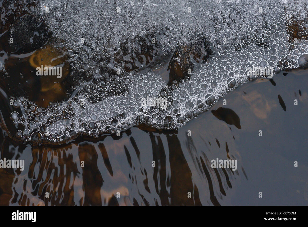The accumulation of air bubbles under the thin crust of ice against the ...