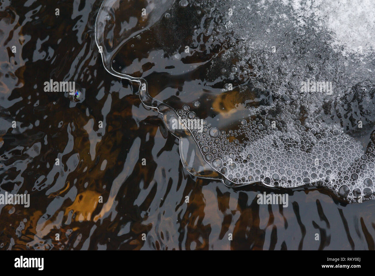 The accumulation of air bubbles under the thin crust of ice against the ...
