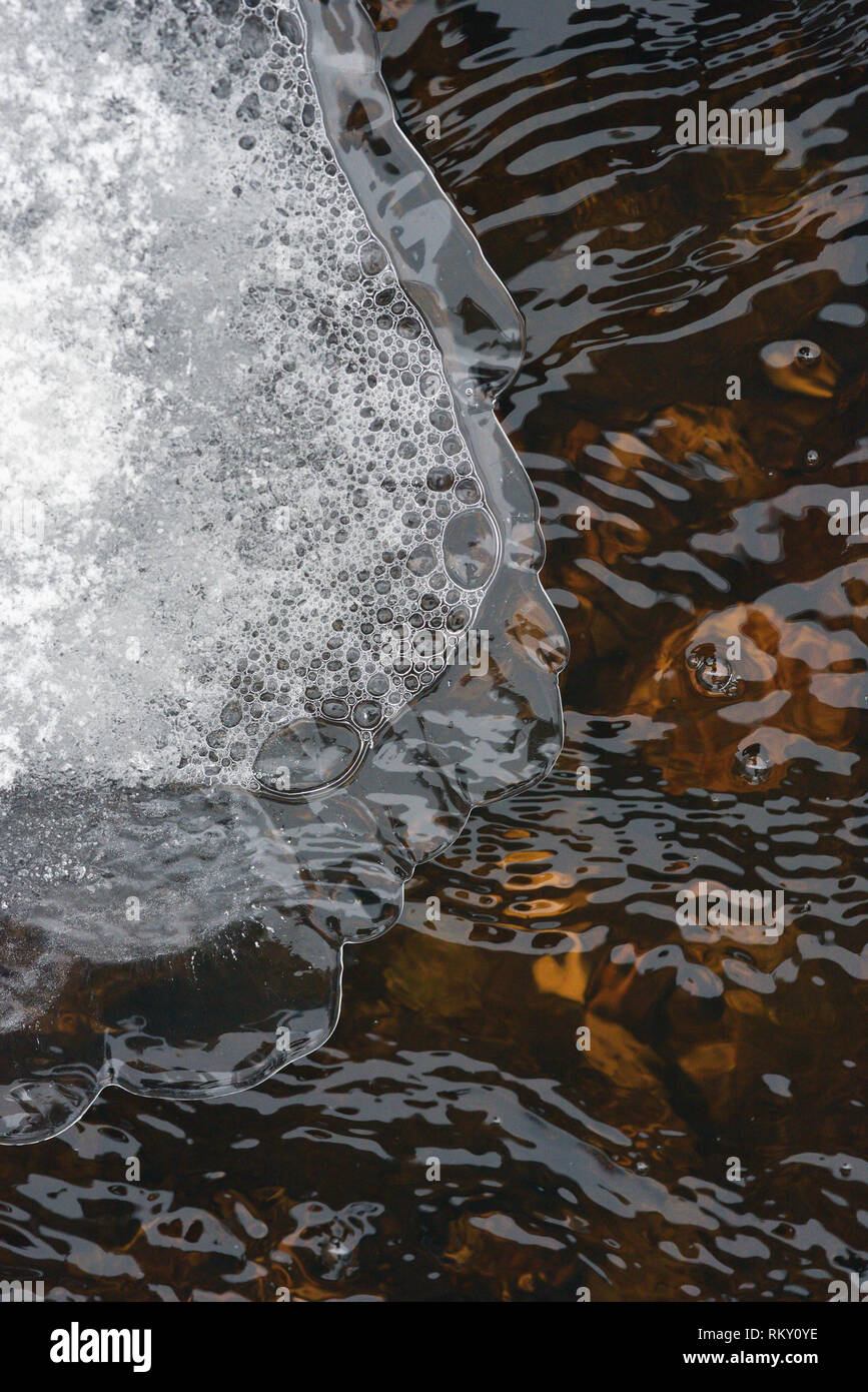 The accumulation of air bubbles under the thin crust of ice against the ...