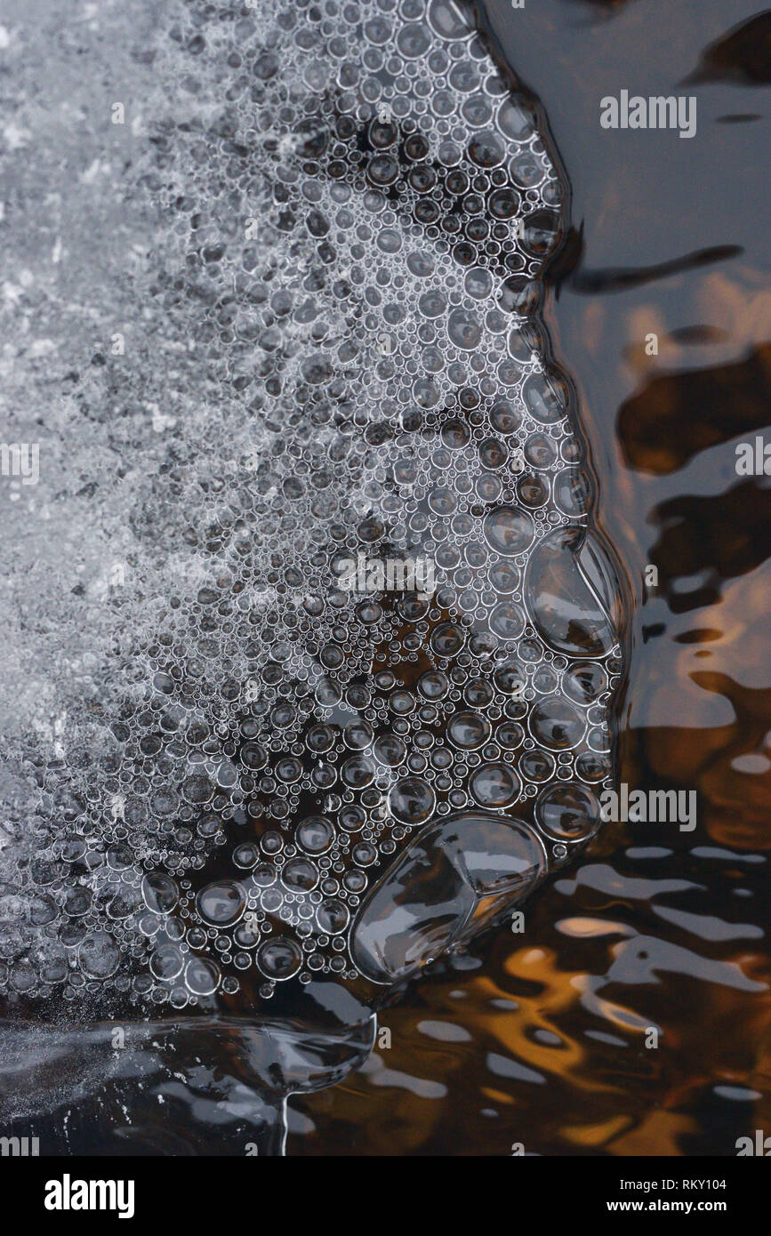 The accumulation of air bubbles under the thin crust of ice against the ...