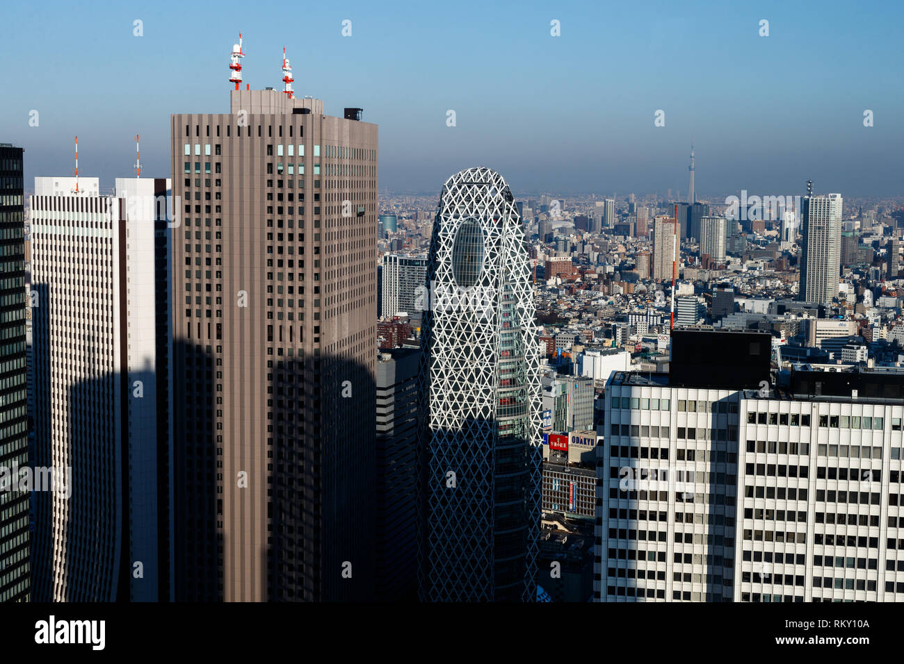 A view from the viewing area at the top of the Tokyo Metropolitan ...