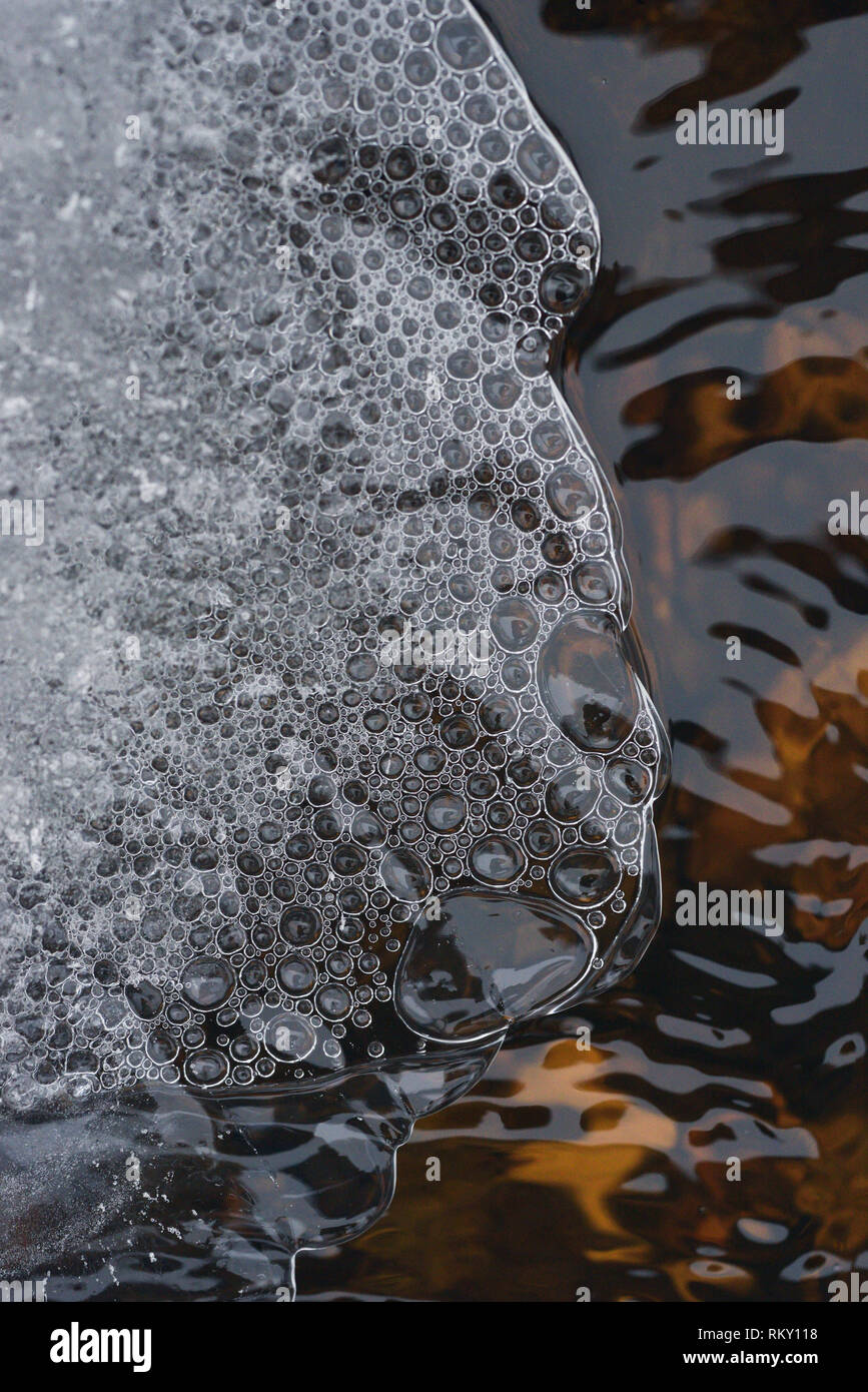 The accumulation of air bubbles under the thin crust of ice against the ...