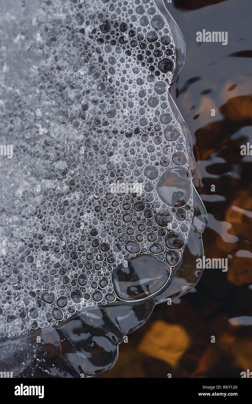 The accumulation of air bubbles under the thin crust of ice against the ...