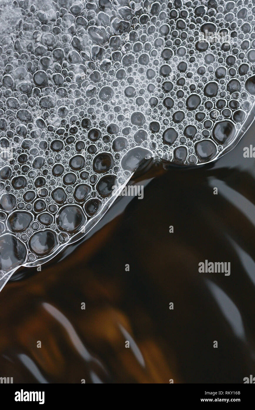 The accumulation of air bubbles under the thin crust of ice against the ...
