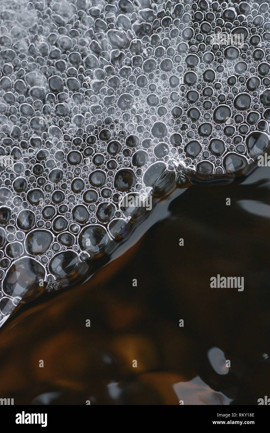 The accumulation of air bubbles under the thin crust of ice against the ...