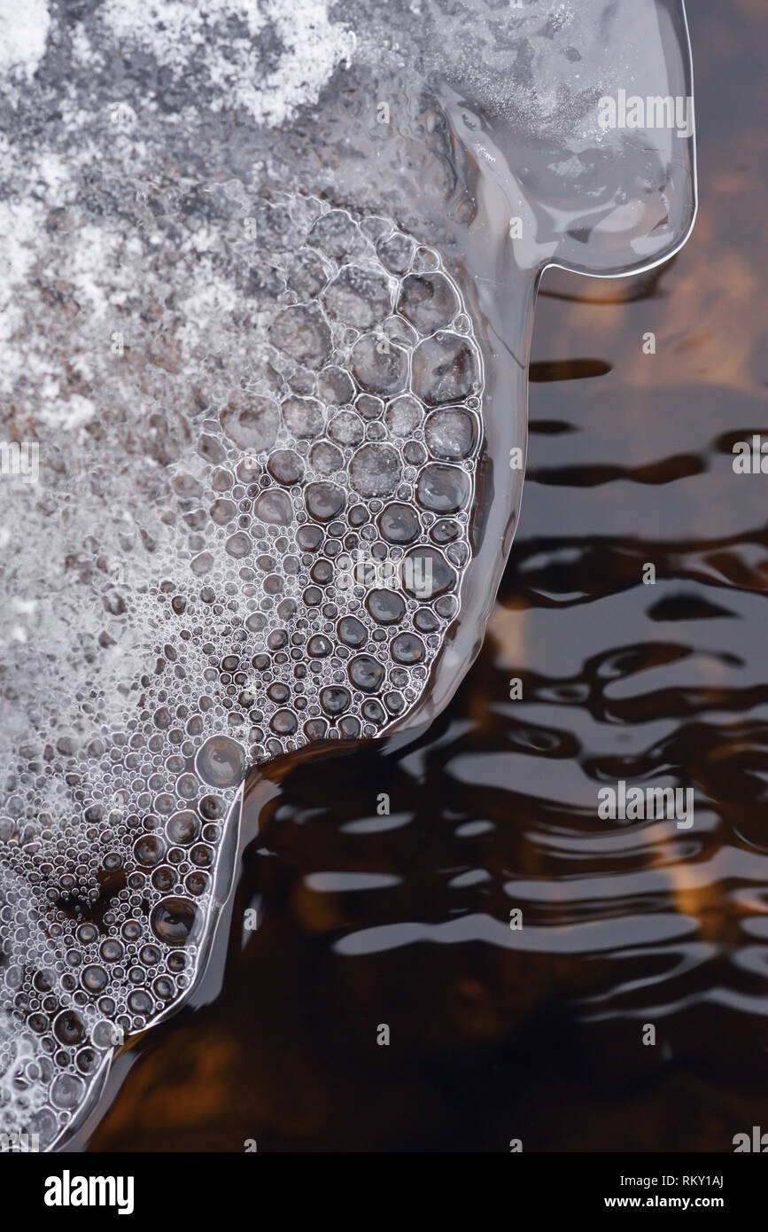 The accumulation of air bubbles under the thin crust of ice against the ...