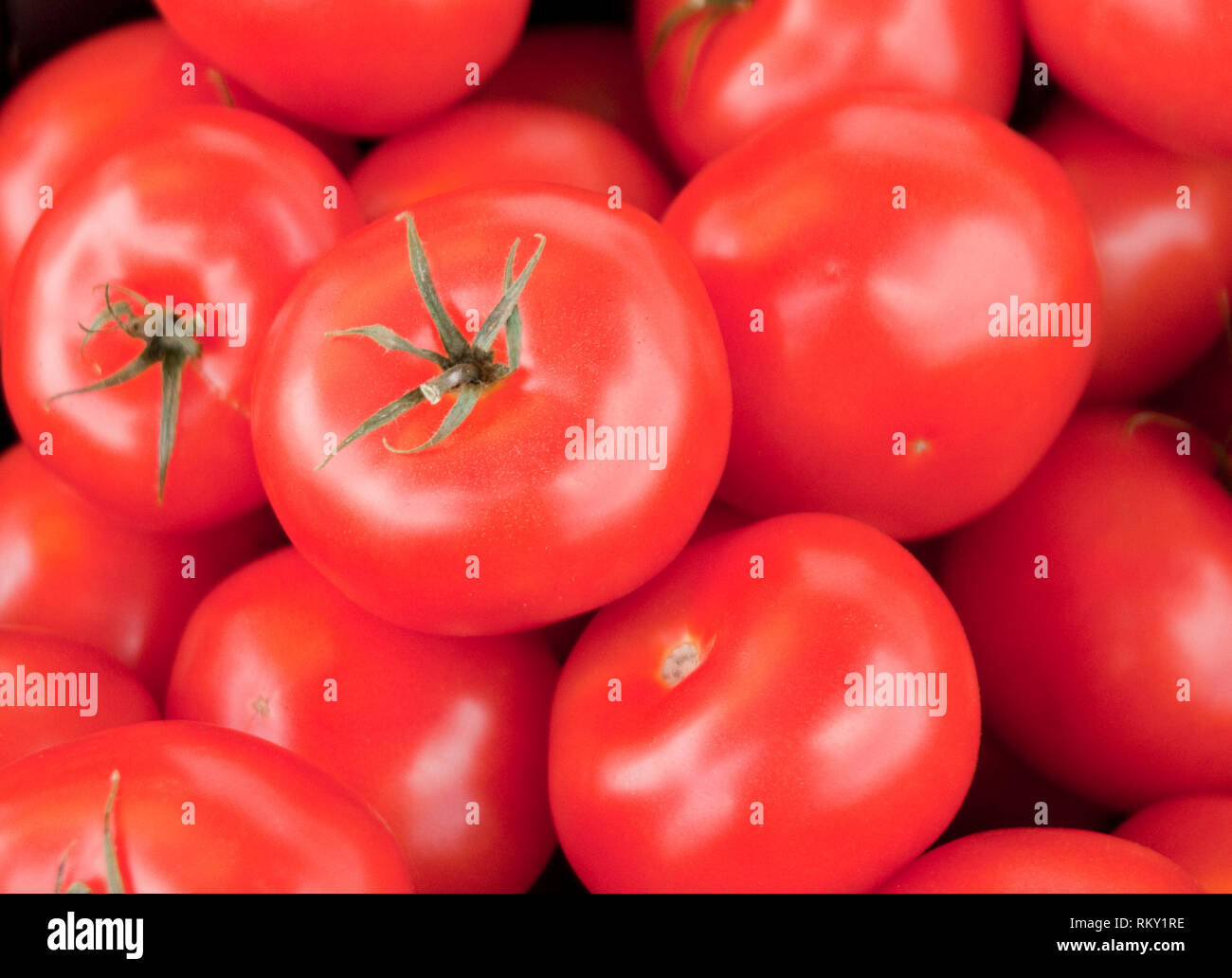 High resolution image ripe tomatoes hi-res stock photography and images ...