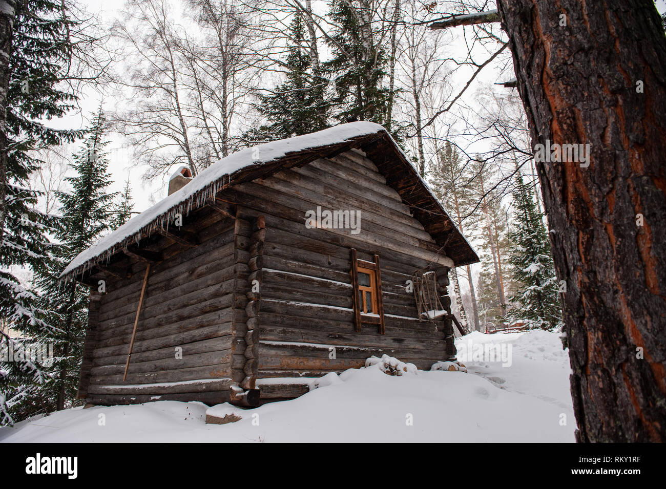 Inside forest farm farmhouse hi-res stock photography and images - Alamy