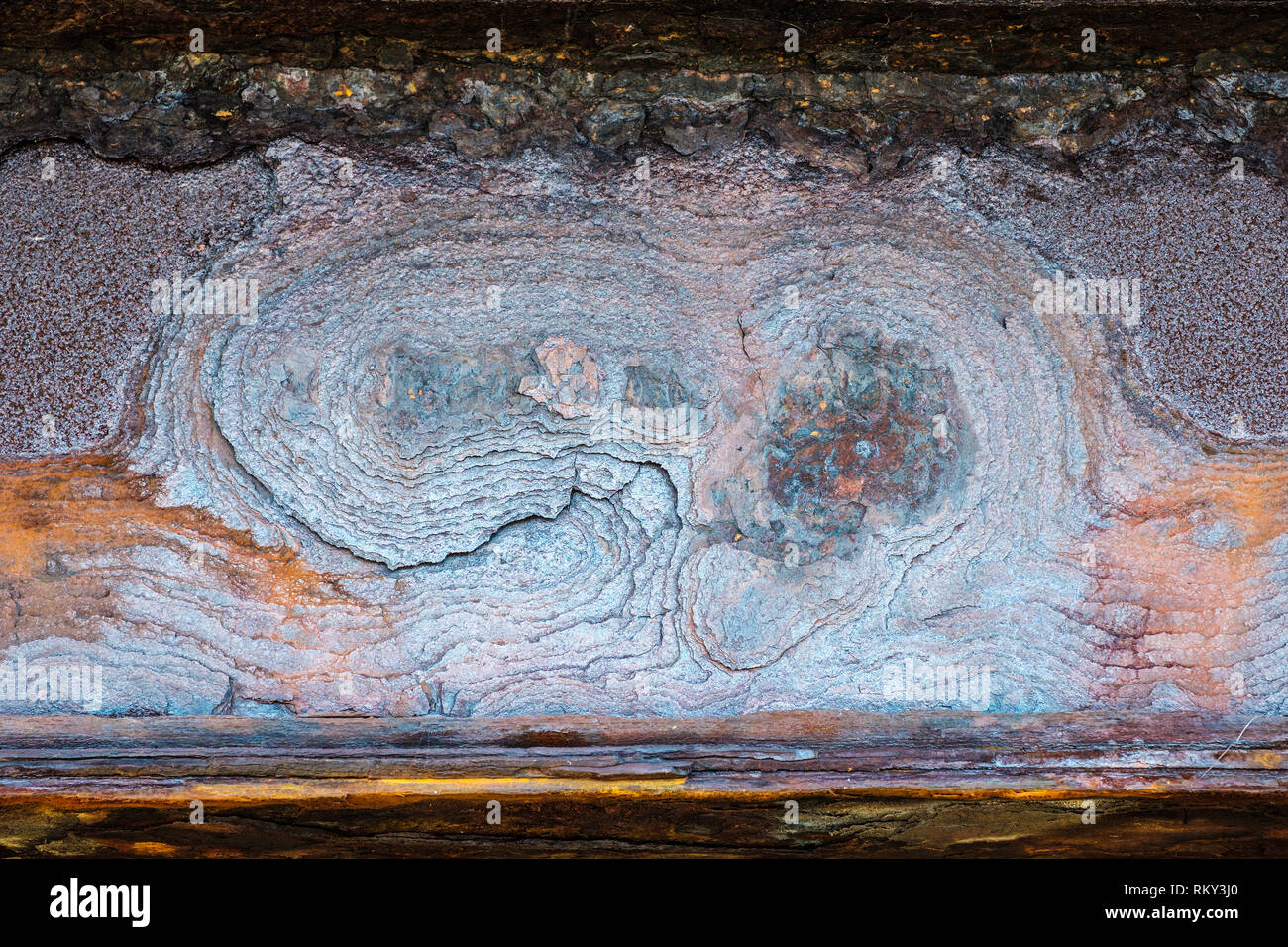 A heavily rusted girder beam inside an old anti-aircraft battery, Cove ...