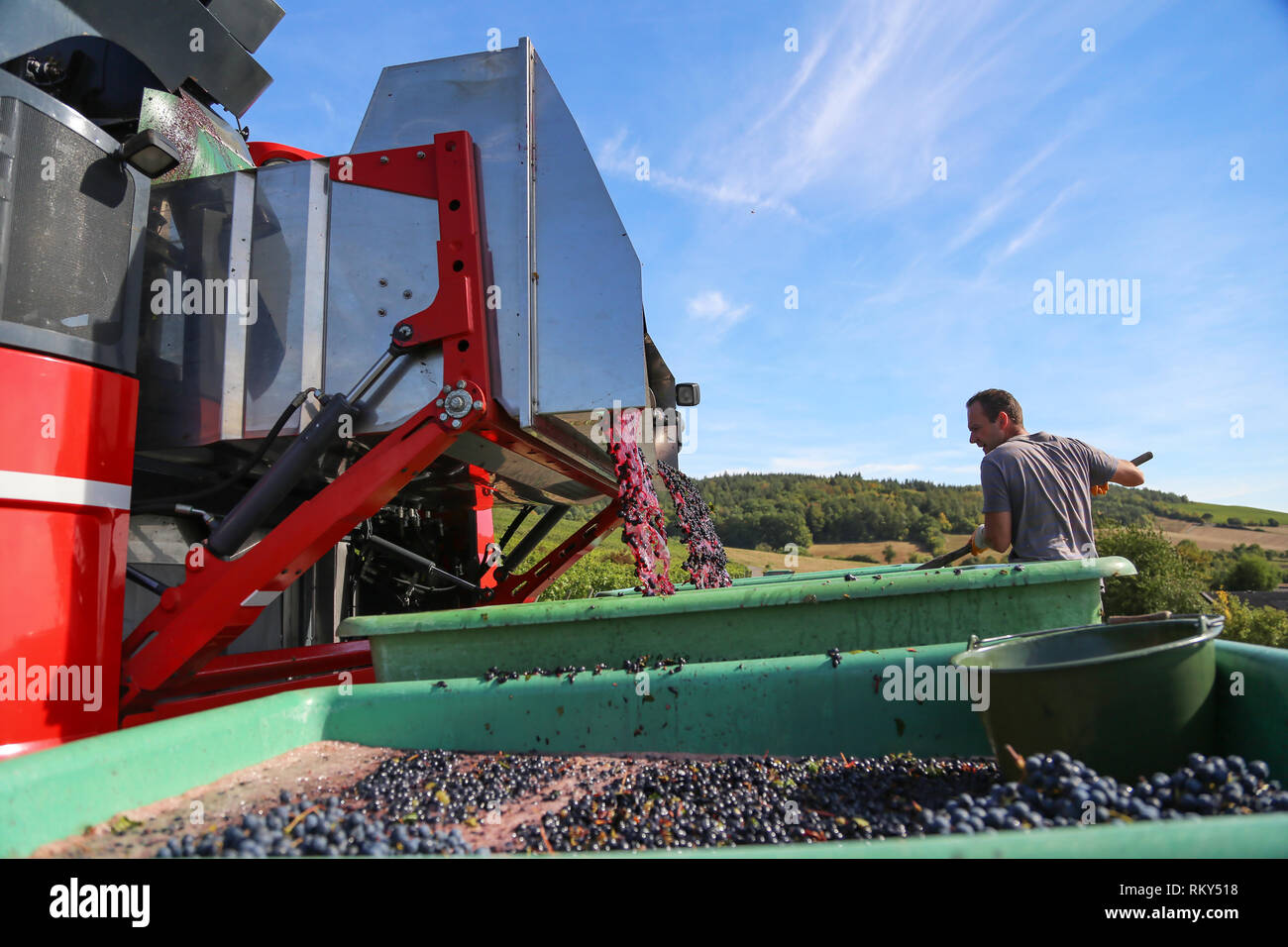Combine wine with food hi-res stock photography and images - Alamy