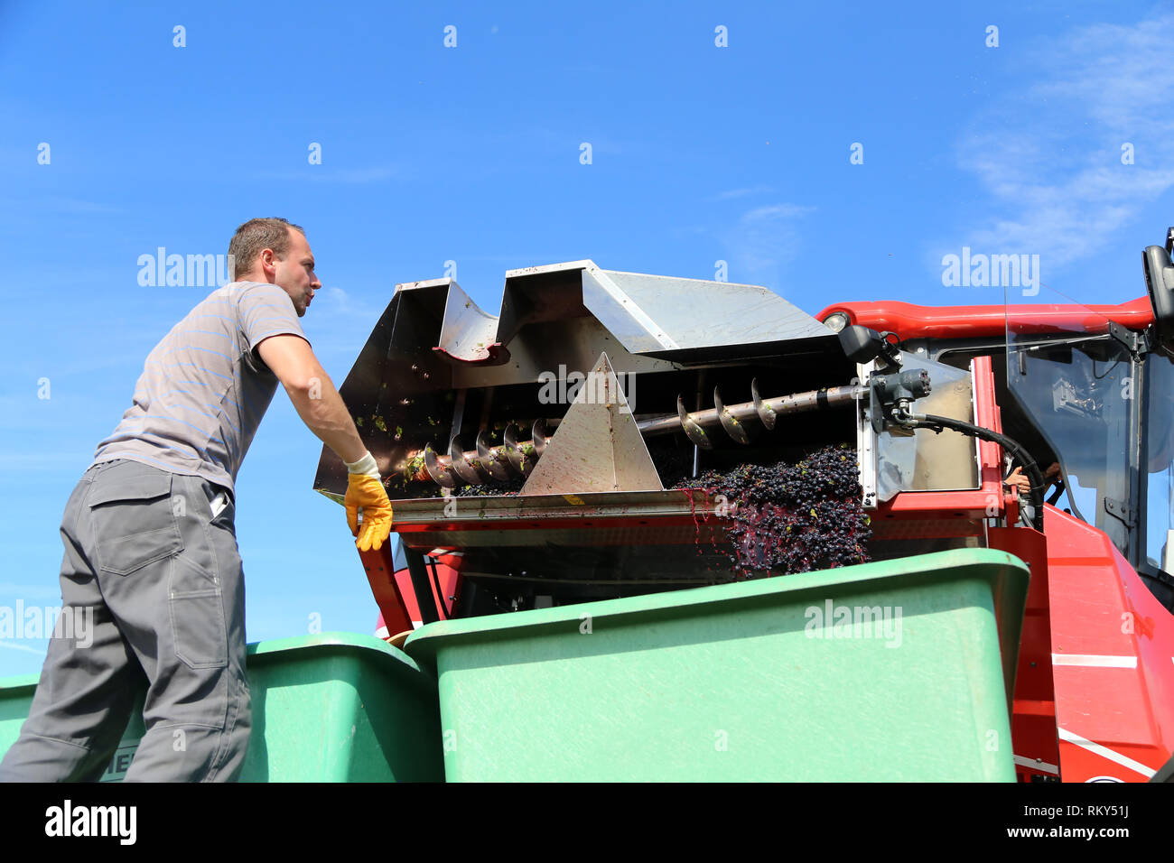Combine wine with food hi-res stock photography and images - Alamy