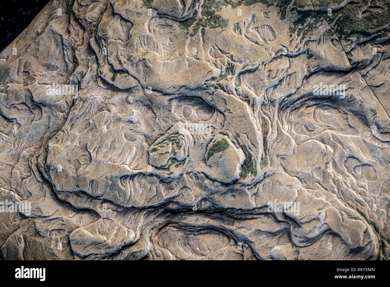 Coastal rock patterns hi-res stock photography and images - Alamy