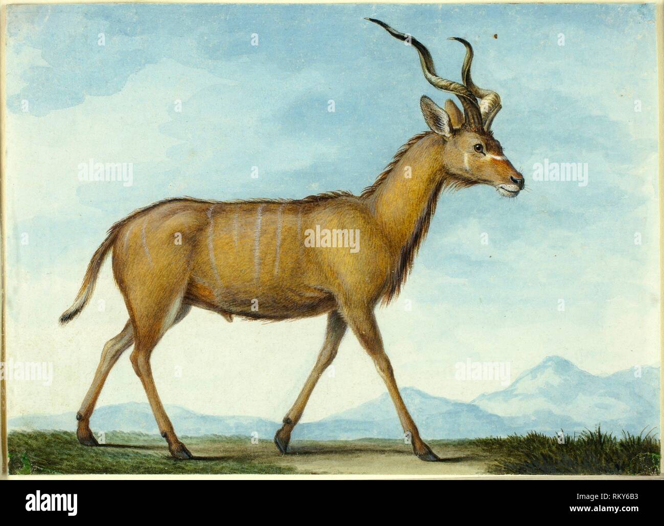 Nicolas huet hi-res stock photography and images - Alamy