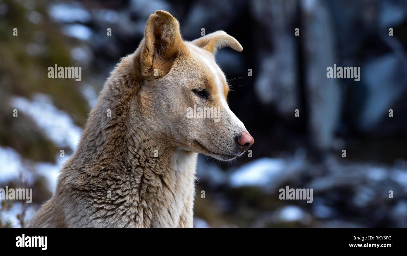 Random wallpaper hi-res stock photography and images - Alamy