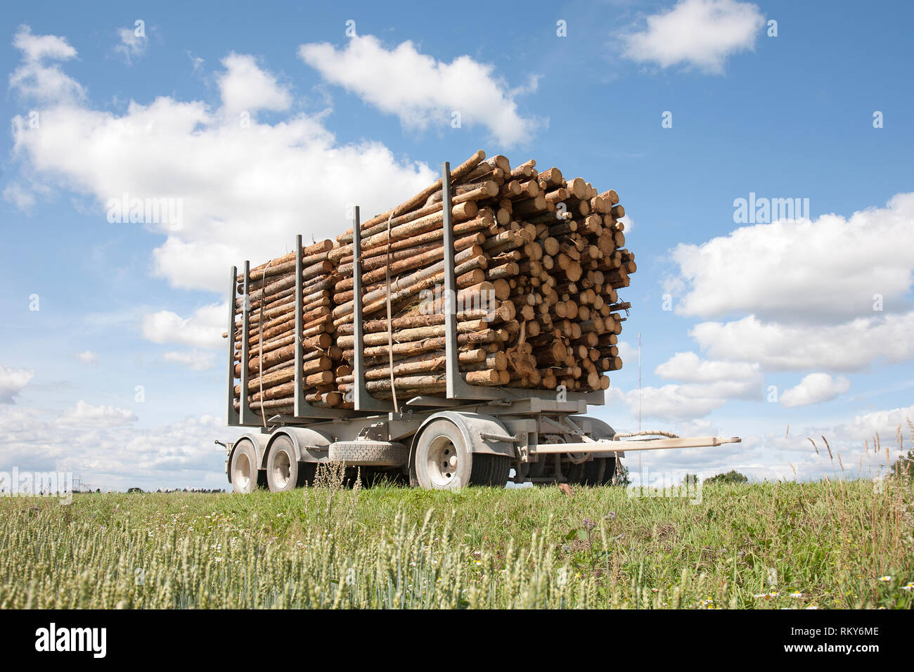 Logs stacked on trailer Stock Photo - Alamy