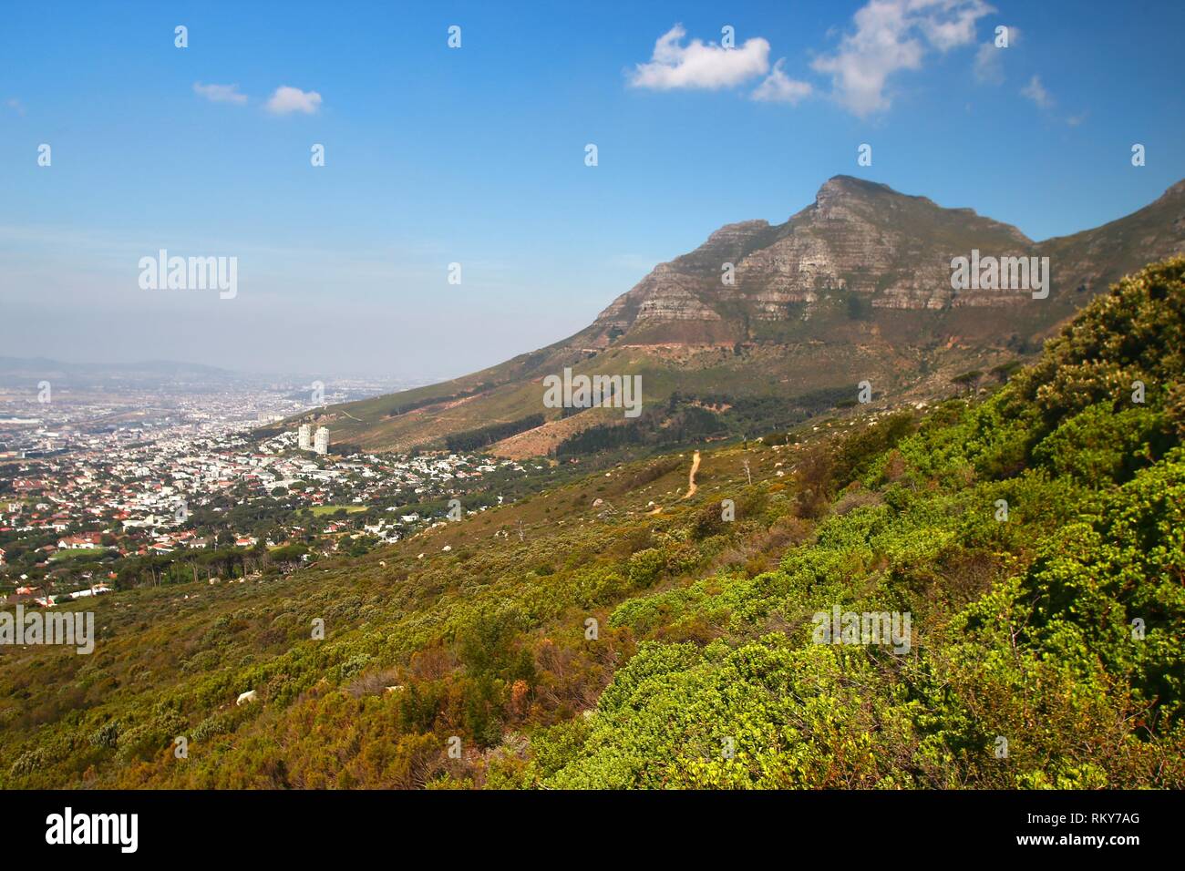 Table Mountain is a landmark overlooking the city of Cape Town in South ...