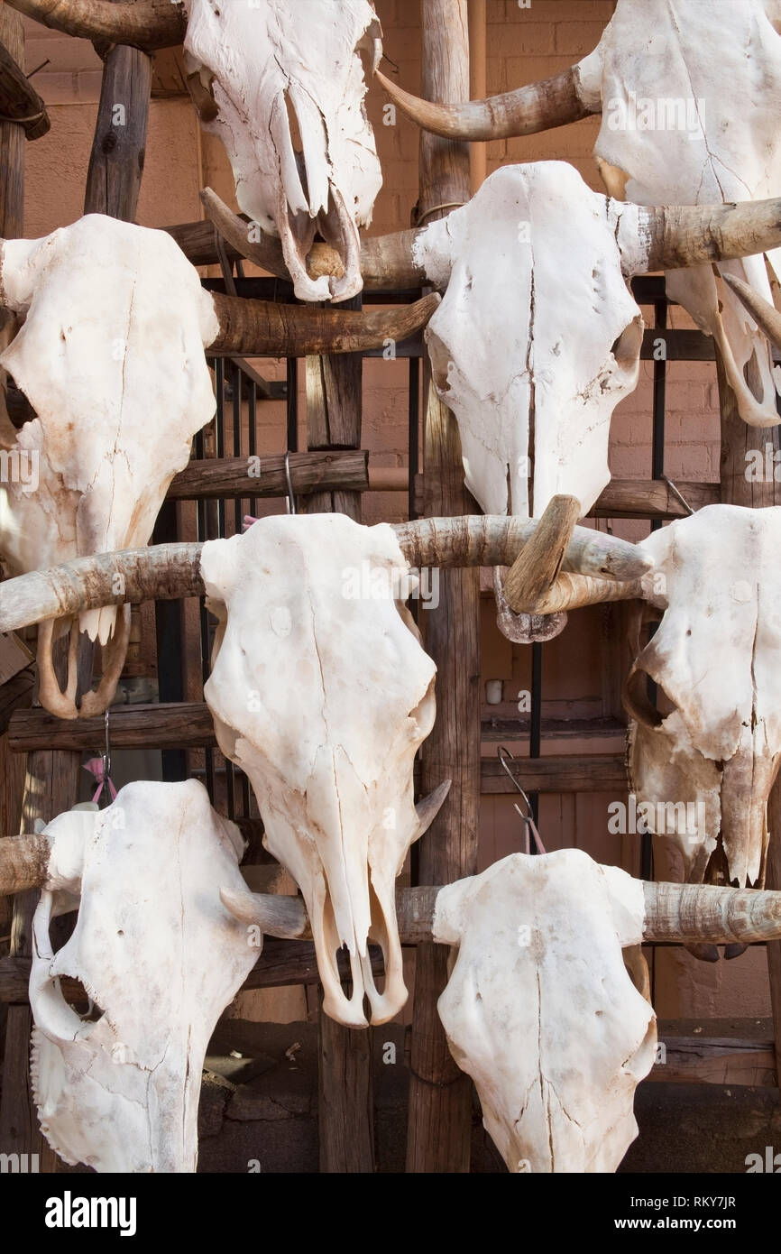 Cow horns mounted hi-res stock photography and images - Alamy