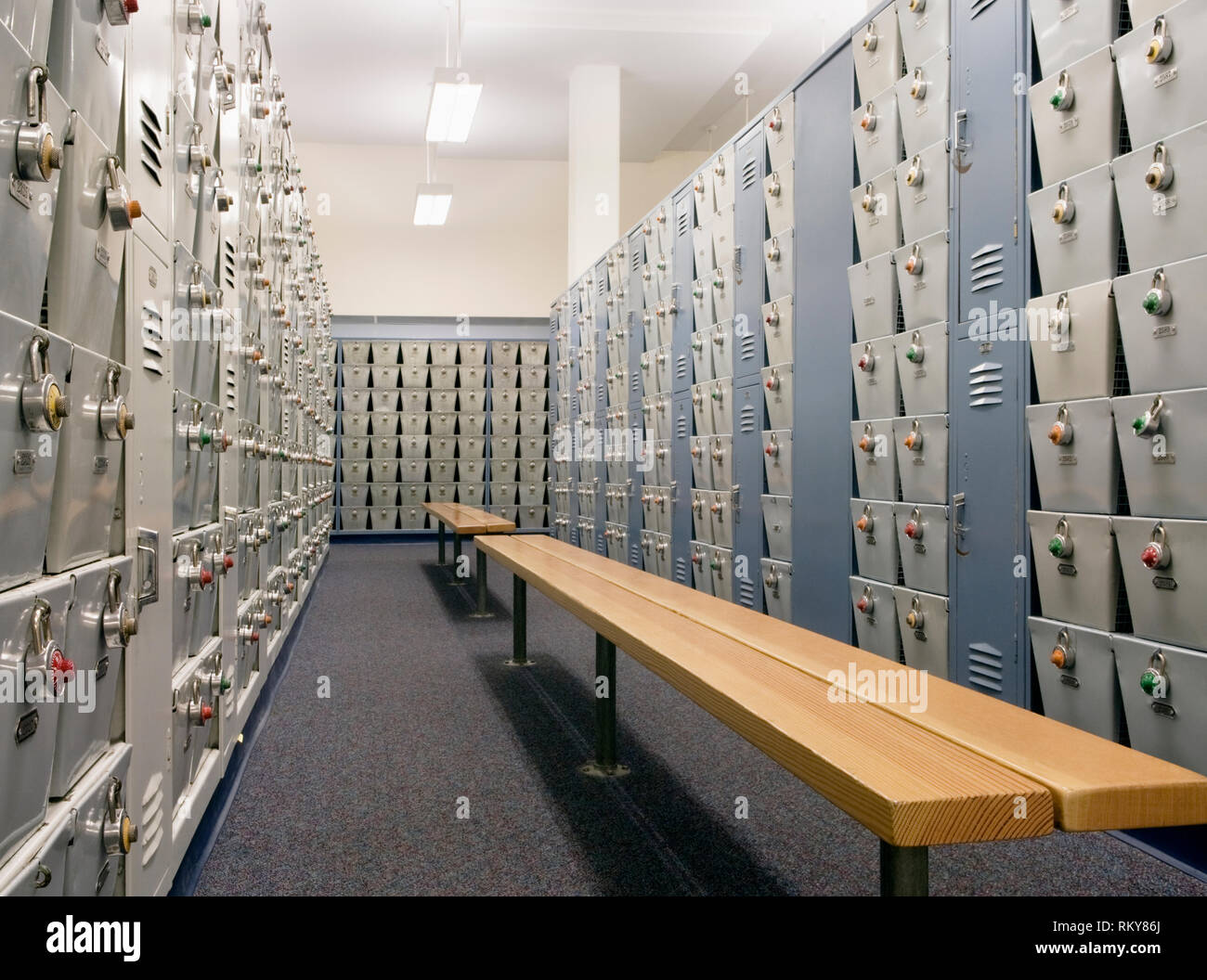 Benches and lockers in locker room Stock Photo - Alamy