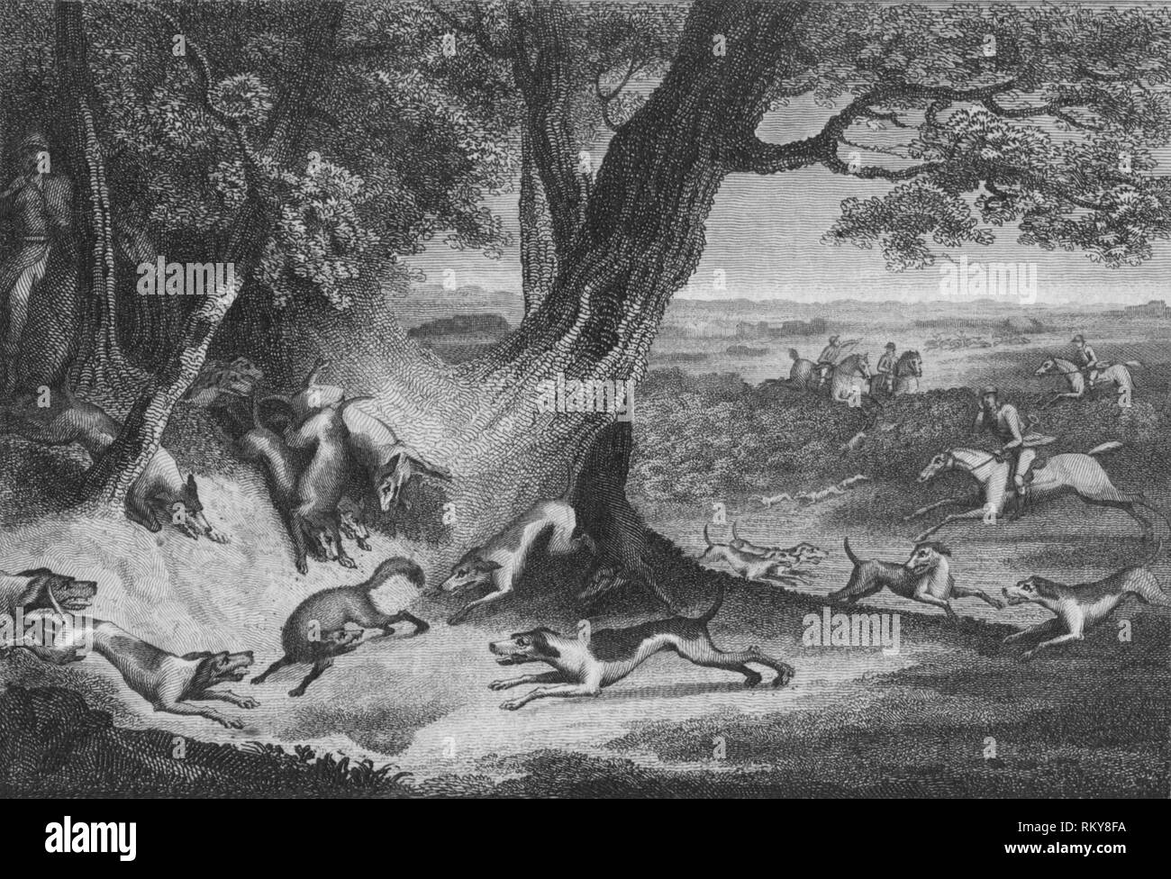 'Death of the Fox', 1793. Creator: Thomas Cook Stock Photo - Alamy