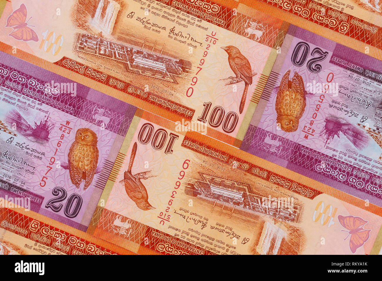 The symmetrical composition of Sri Lankan banknotes. Rupee, the ...