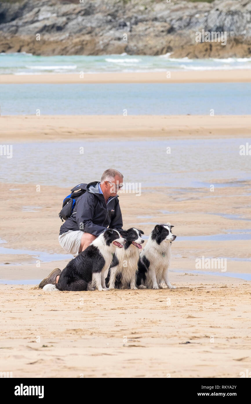 A man kneeling with his three Border Collie dogs on Crantock Beach in ...