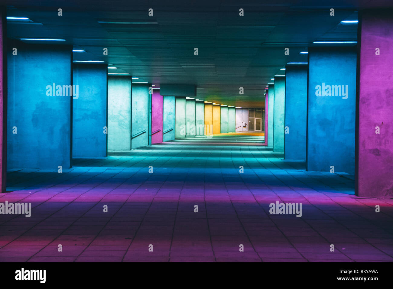 Neon lights illuminate a city walk way Stock Photo - Alamy